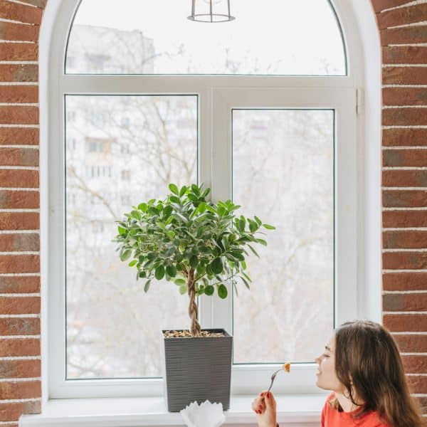 Transform Your Home With Custom Shaped Windows Metropolitan High Performance Windows
